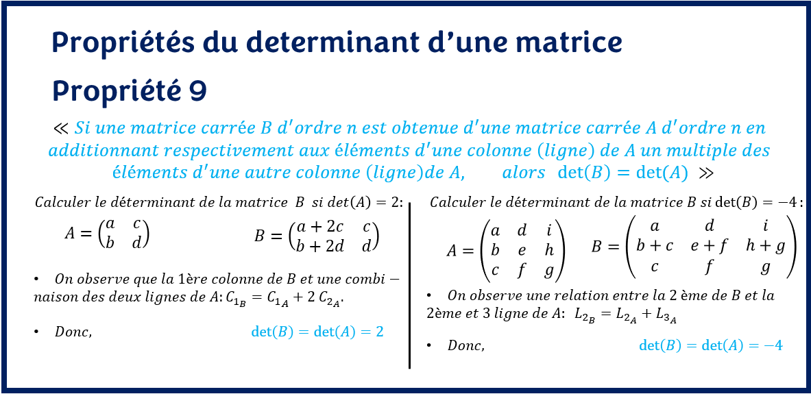 PROPRIÉTÉS DU DÉTERMINANT D'UNE MATRICE