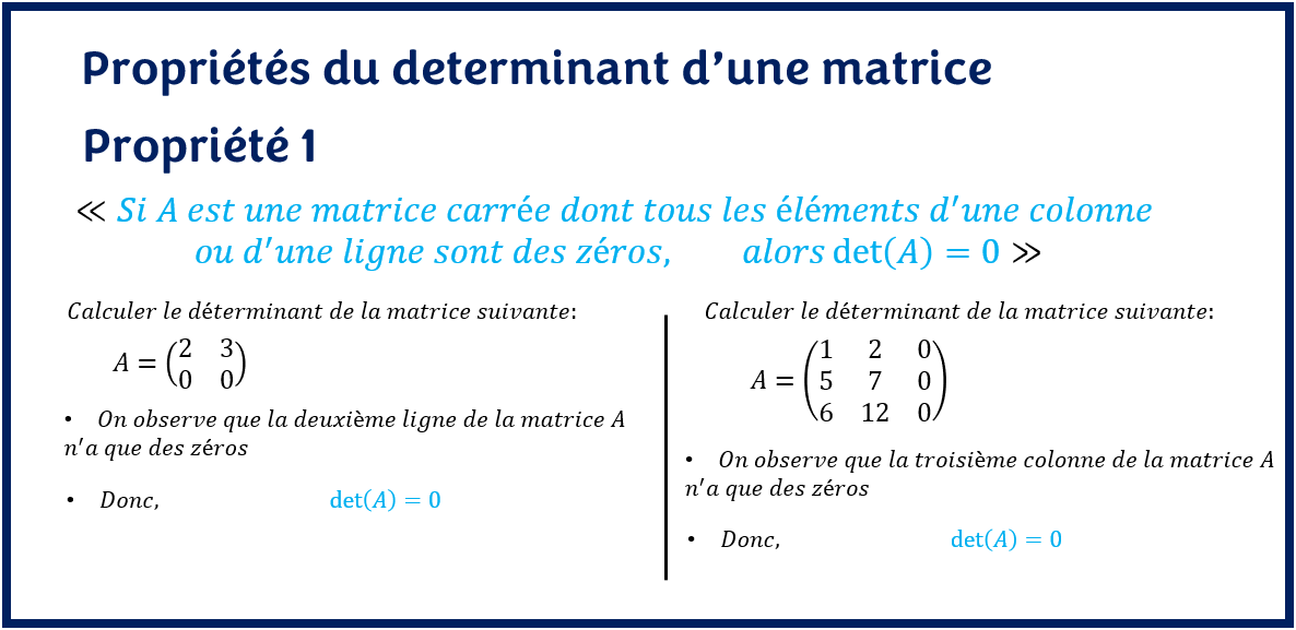 PROPRIÉTÉS DU DÉTERMINANT D'UNE MATRICE