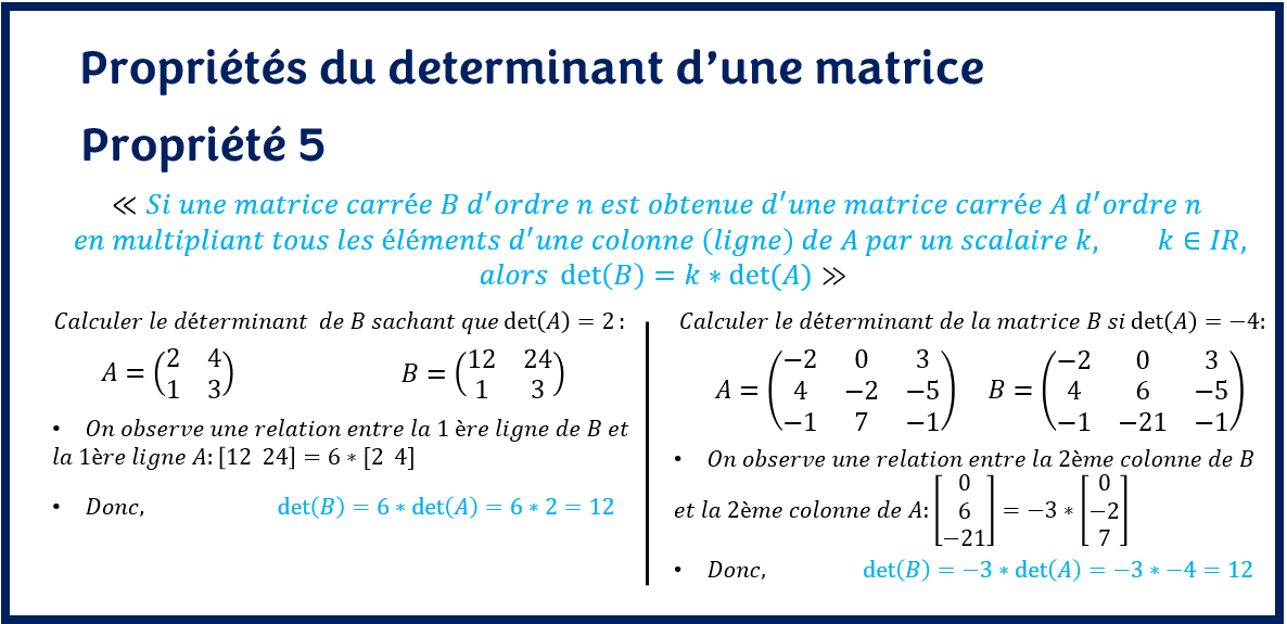 PROPRIÉTÉS DU DÉTERMINANT D'UNE MATRICE