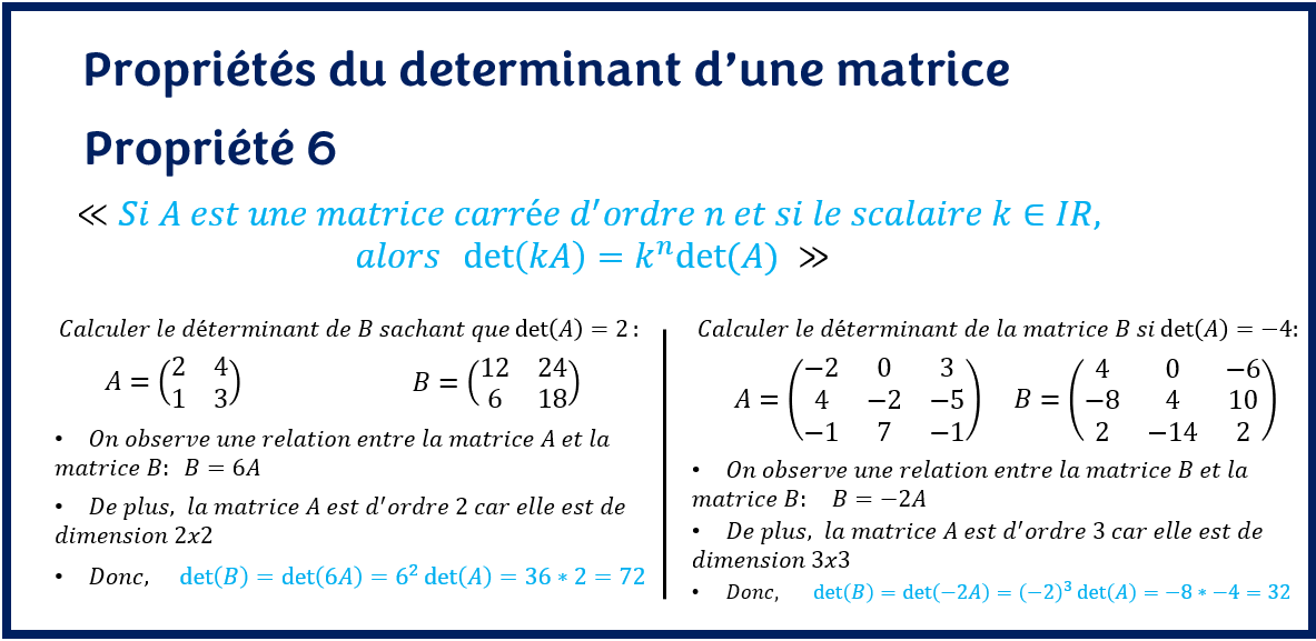 PROPRIÉTÉS DU DÉTERMINANT D'UNE MATRICE